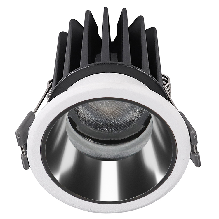 IBSP100CT055—Reflector 20°| 40°|60° Lens 15°| 24°|36°|50° Fixed IP65 ...