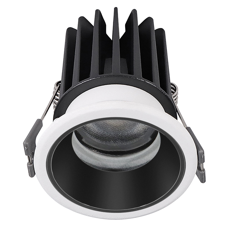 IBSP100CT055—Reflector 20°| 40°|60° Lens 15°| 24°|36°|50° Fixed IP65 ...